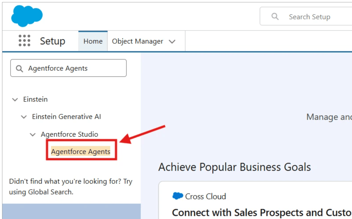 Set Up Your Salesforce AgentForce DeveloperOrg Easily
